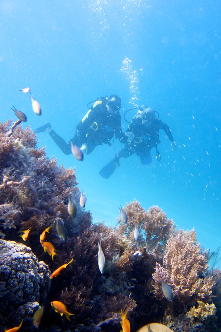 THE ULTIMATE GUIDE TO DIVING AND SNORKELING ON PEMBA ISLAND – Fundu Lagoon